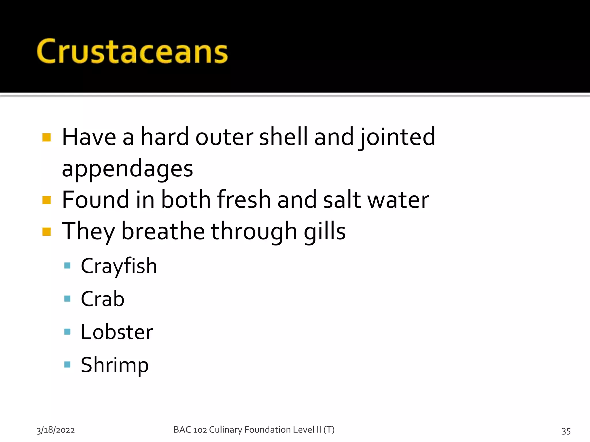 Fish & seafood | PPTX