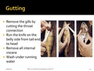 Fish & seafood | PPTX