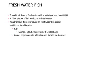 Introduction to Fish and Seafood and parts.pdf
