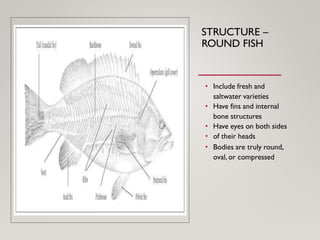 Fish & Seafood PT 1.pdf