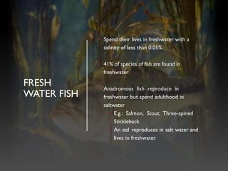 Fish & Seafood PT 1.pdf
