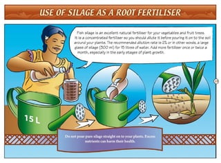 Fish silage | PDF