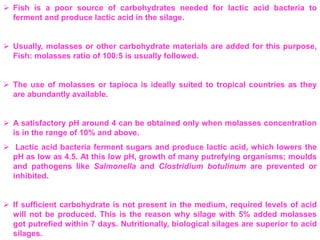 Fish silage.ppt