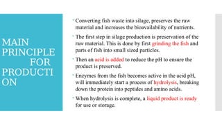 Fish Silage: A Sustainable Approach to Fish Waste Utilization.pptx