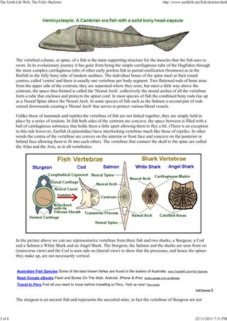 Fish skeleton | PDF
