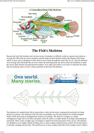 Fish Skeleton Labeled