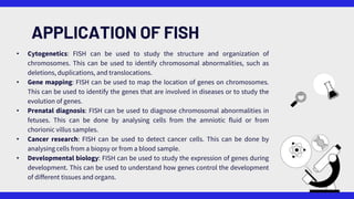FISH, SNP and EST.pptx