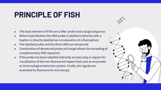 FISH, SNP and EST.pptx