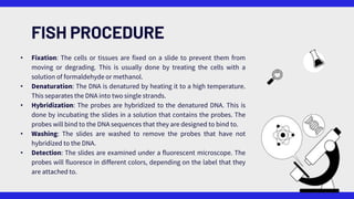 FISH, SNP and EST.pptx