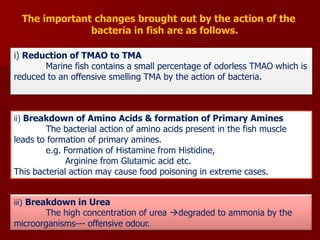 Fish spoilage | PPTX