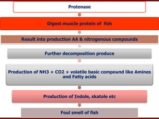 Fish spoilage | PPTX