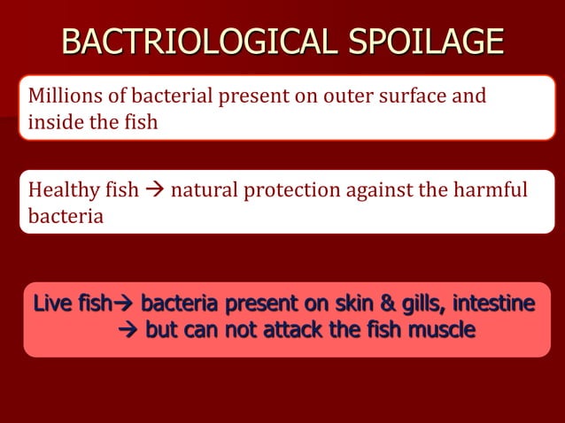 Fish spoilage | PPTX