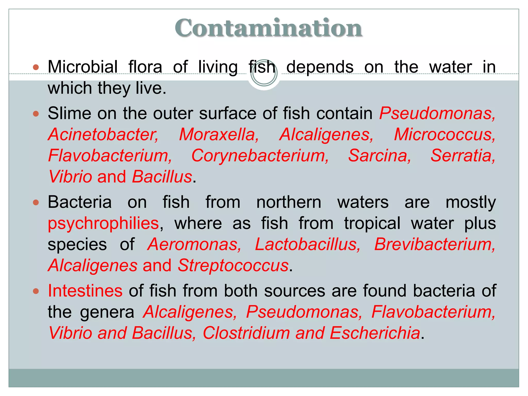 Microbial spoilage of Fish & sea products | PPTX