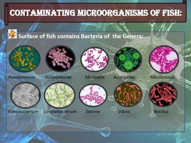 Microbial spoilage of Fish & sea products | PPTX