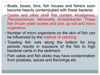 Microbial spoilage of Fish & sea products | PPTX