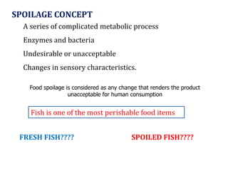 Bacterial spoilage is the most important cause of fish spoilage | PPT