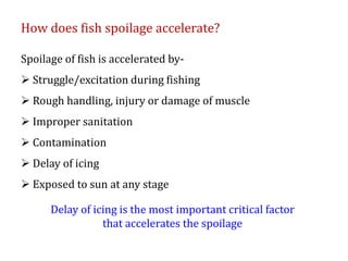 Bacterial spoilage is the most important cause of fish spoilage | PPT