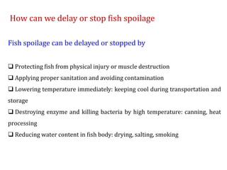Bacterial spoilage is the most important cause of fish spoilage | PPT
