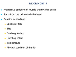 Bacterial spoilage is the most important cause of fish spoilage | PPT ...