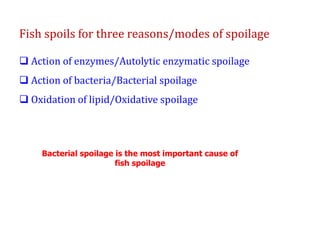 Bacterial spoilage is the most important cause of fish spoilage | PPT