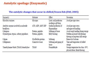 Bacterial spoilage is the most important cause of fish spoilage | PPT