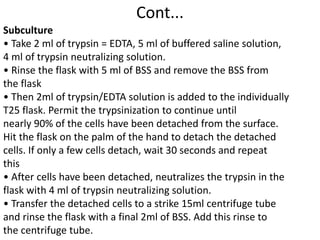 Fish stem cells and their applications by B | PPTX