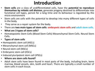 Fish stem cells and their applications by B | PPTX