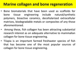 Fish stem cells and their applications by B | PPTX