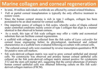 Fish stem cells and their applications by B | PPTX