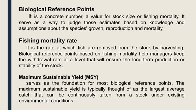 Fish Stock Assessment in the Philippines. Chapter 1 | PPTX | Zoos ...