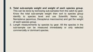 Fish Stock Assessment in the Philippines. Chapter 1 | PPTX