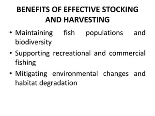 Fish_Stocking_and_Harvesting_Presentation.pptx