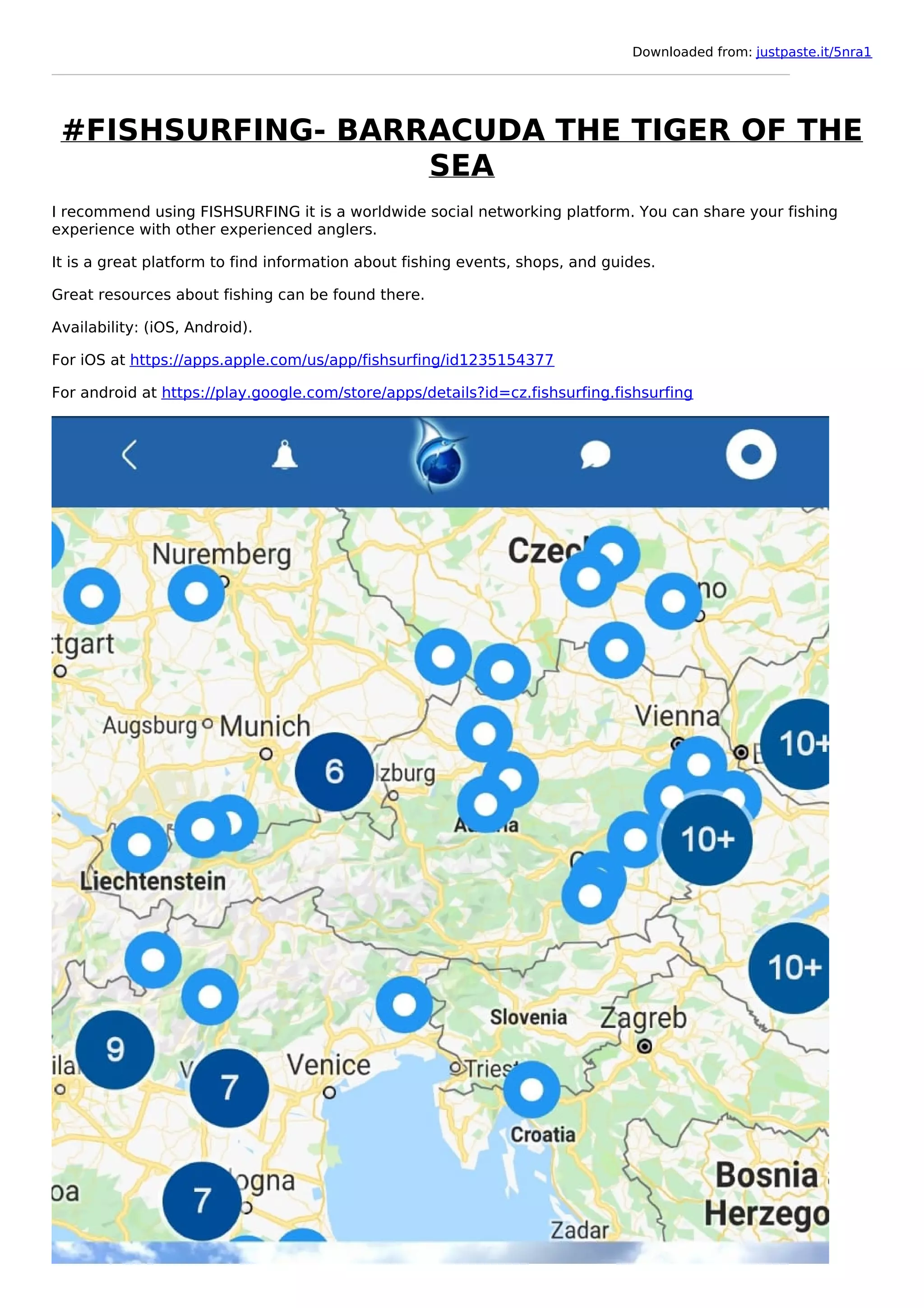 #Fishsurfing barracuda the tiger of the sea | PDF