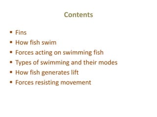 Fish swim | PPTX