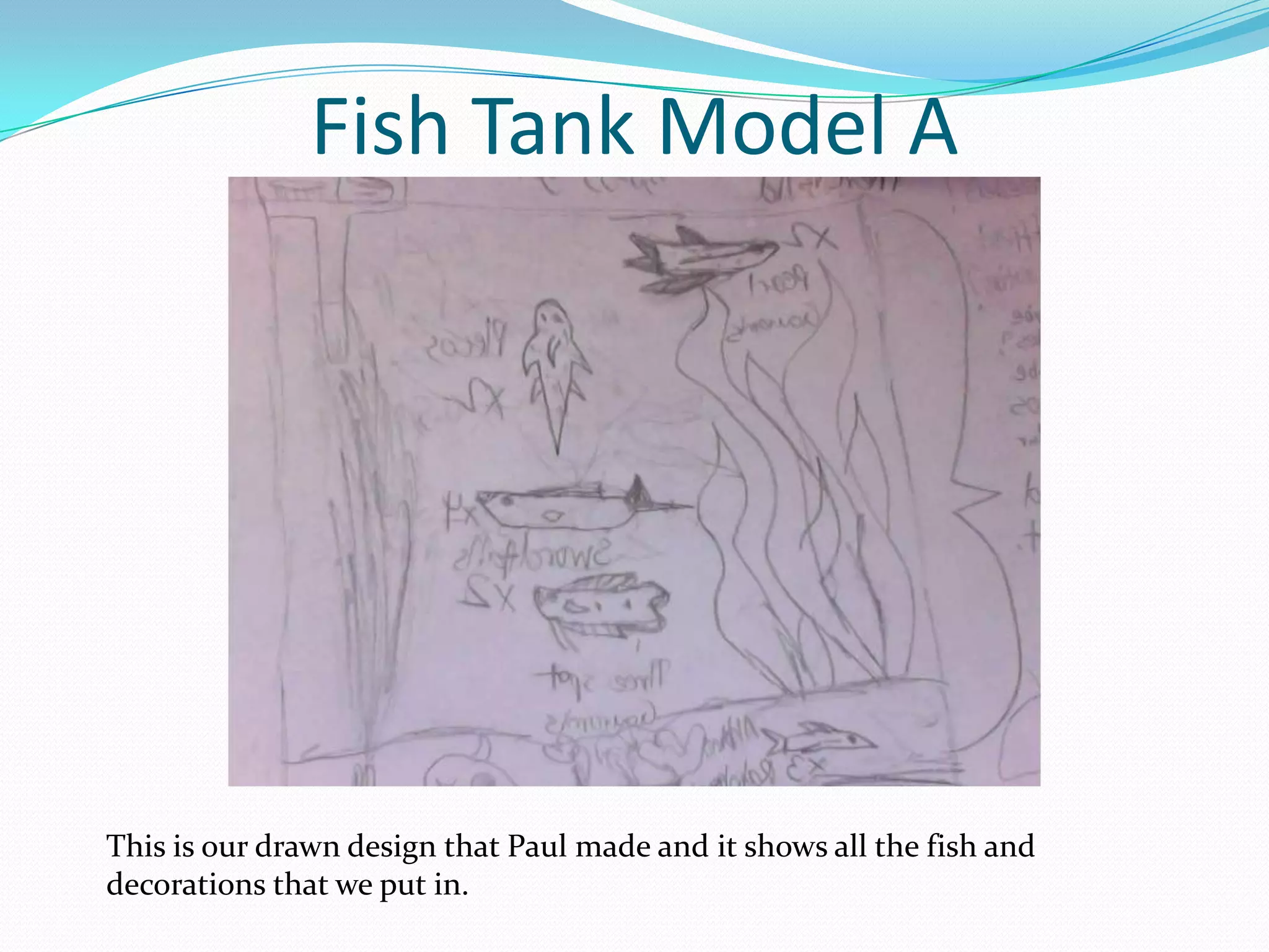 Fish tank power point | PPT