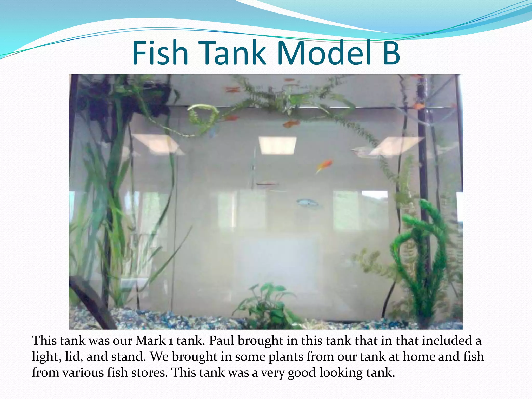 Fish tank power point | PPTX