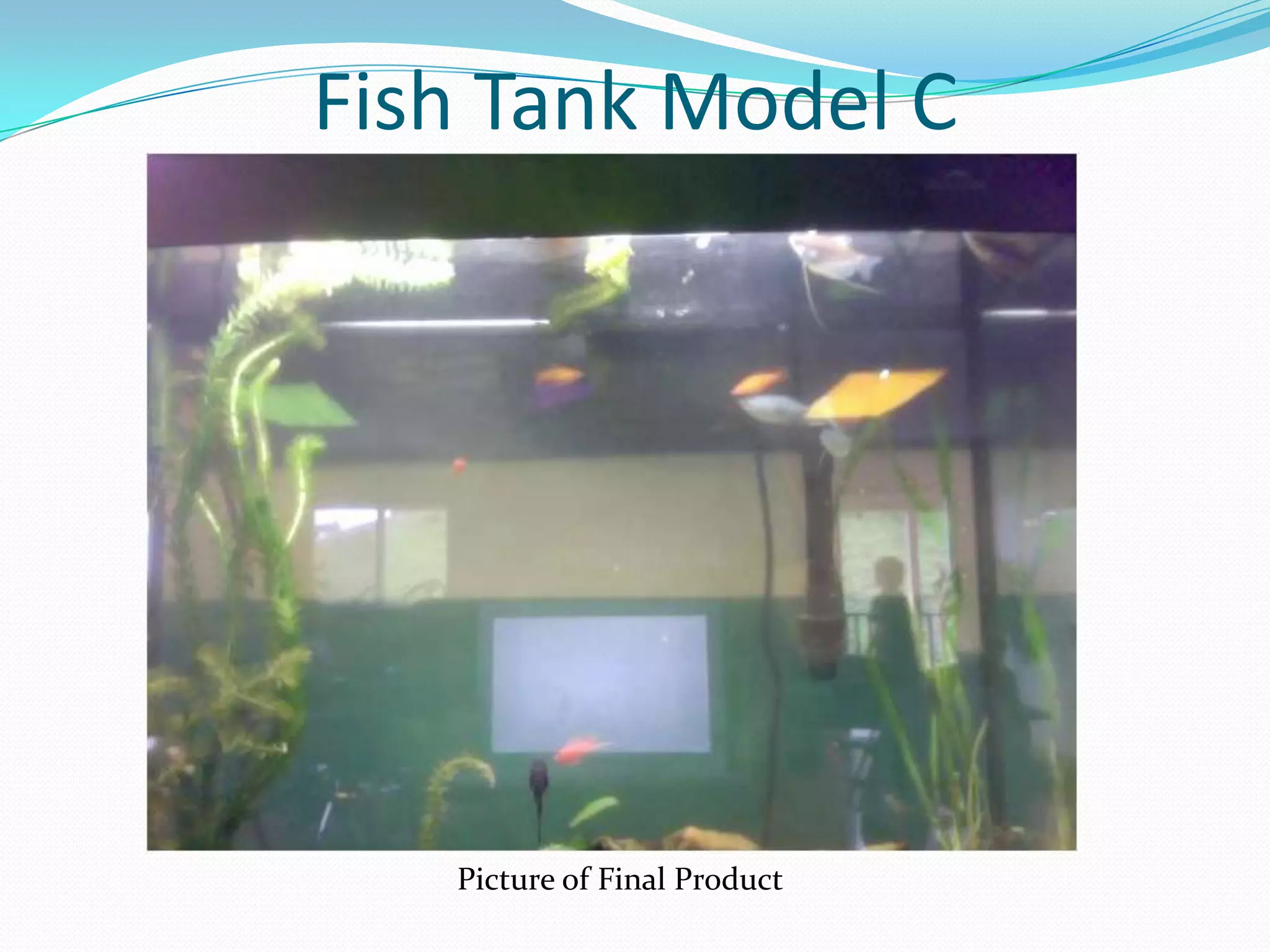 Fish tank power point | PPTX