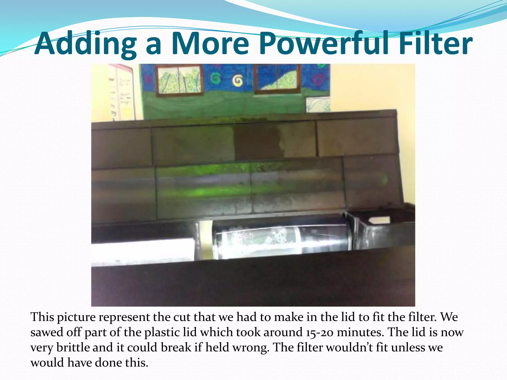 Fish tank power point | PPTX