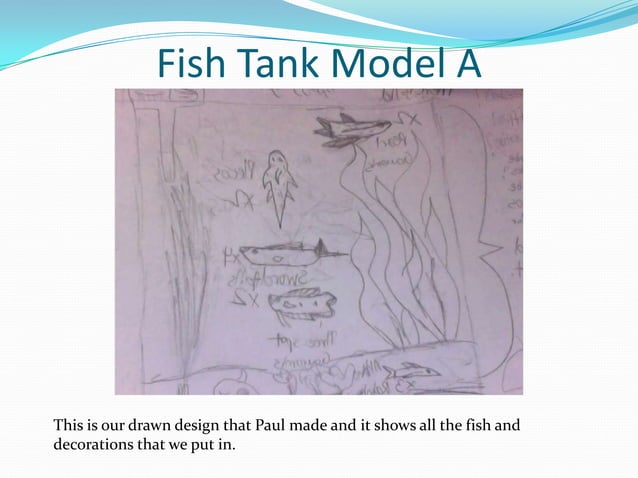 Fish tank power point | PPT
