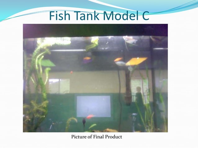 Fish tank power point | PPT