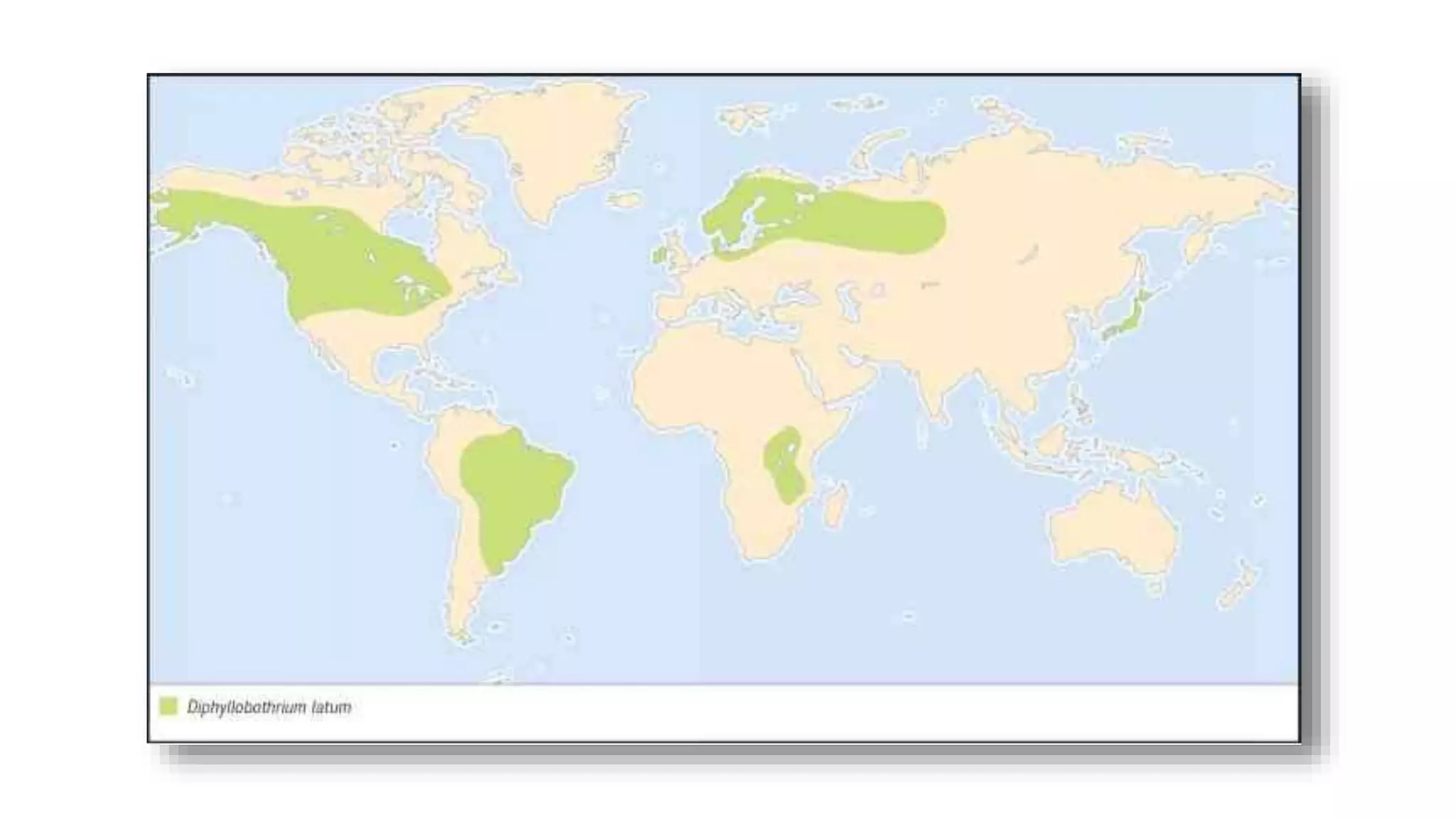 Fish tapeworm | PPTX | Digestive Disorders | Diseases and Conditions