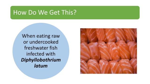 Fish tapeworm | PPTX | Digestive Disorders | Diseases and Conditions