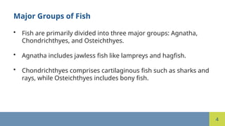 Fish Taxonamy , groups, future prospects.pptx
