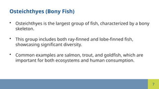 Fish Taxonamy , groups, future prospects.pptx