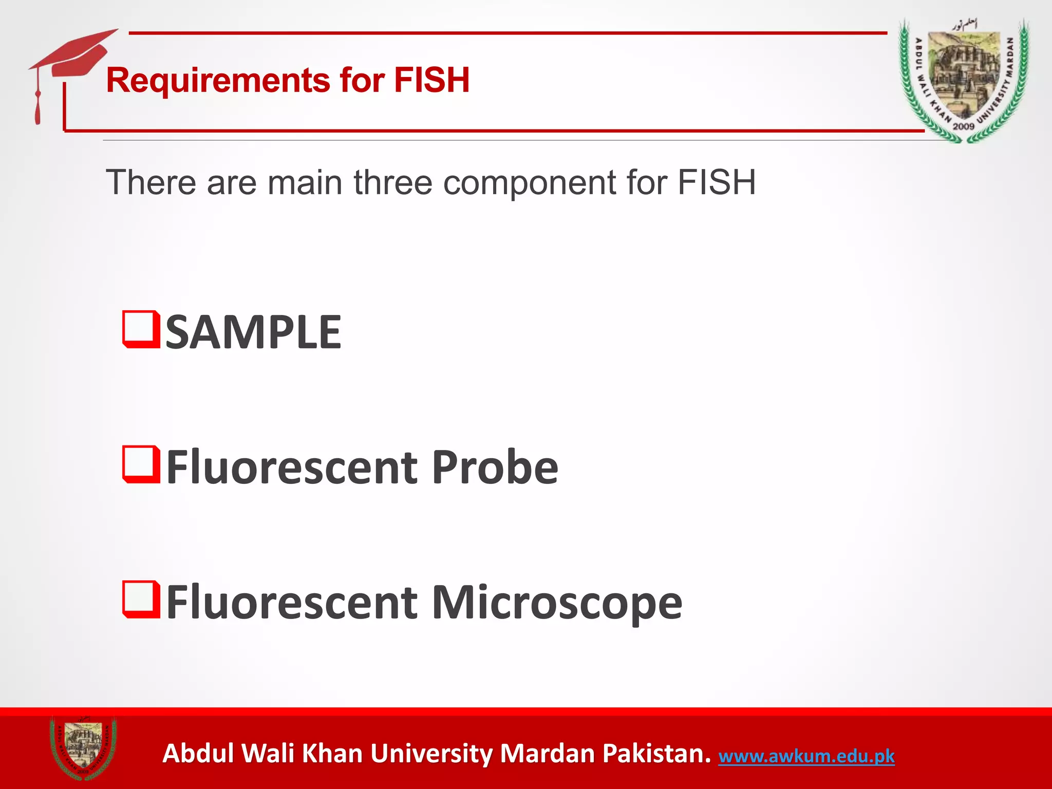 FISH technique.pptx