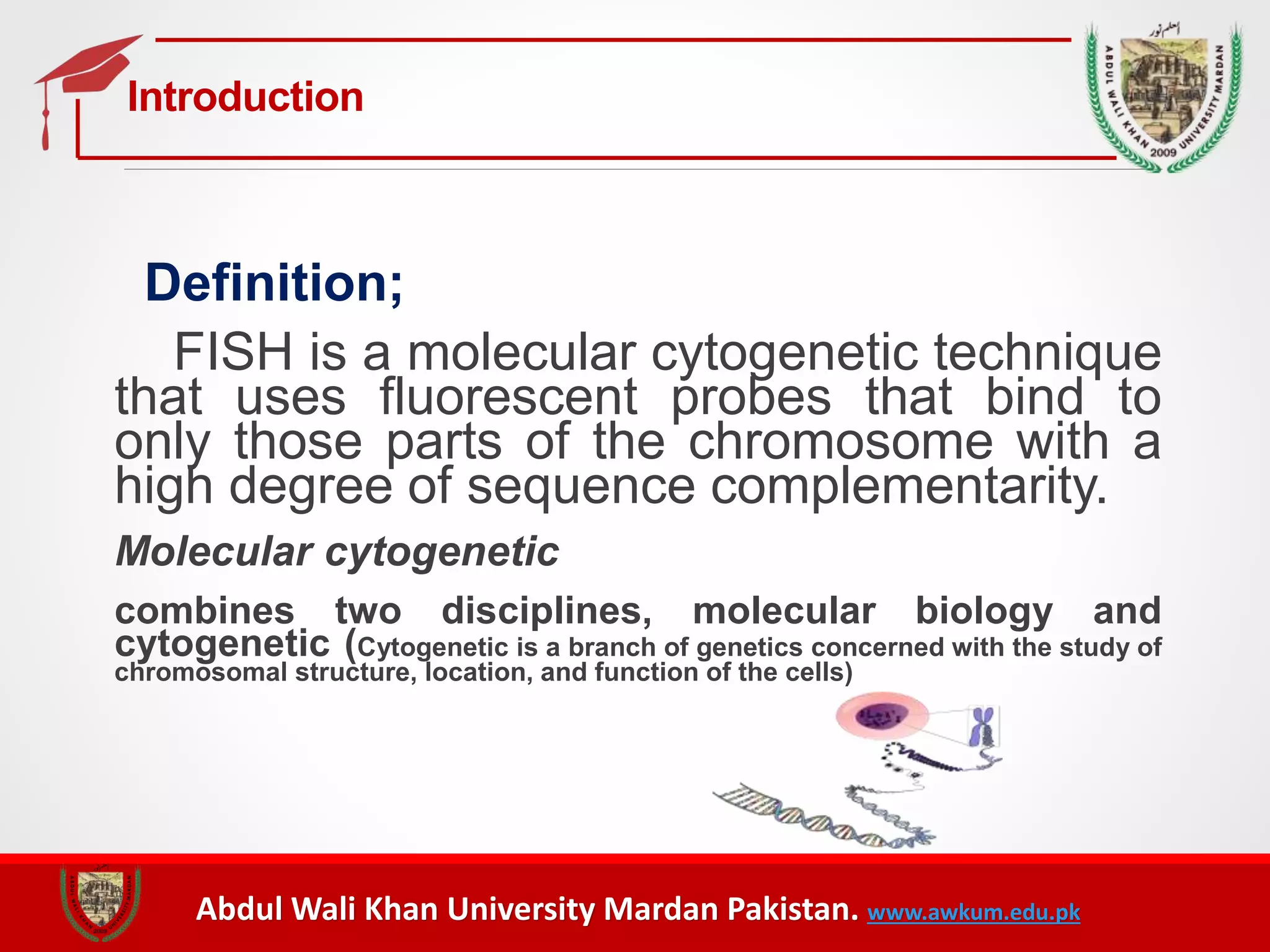 FISH technique.pptx