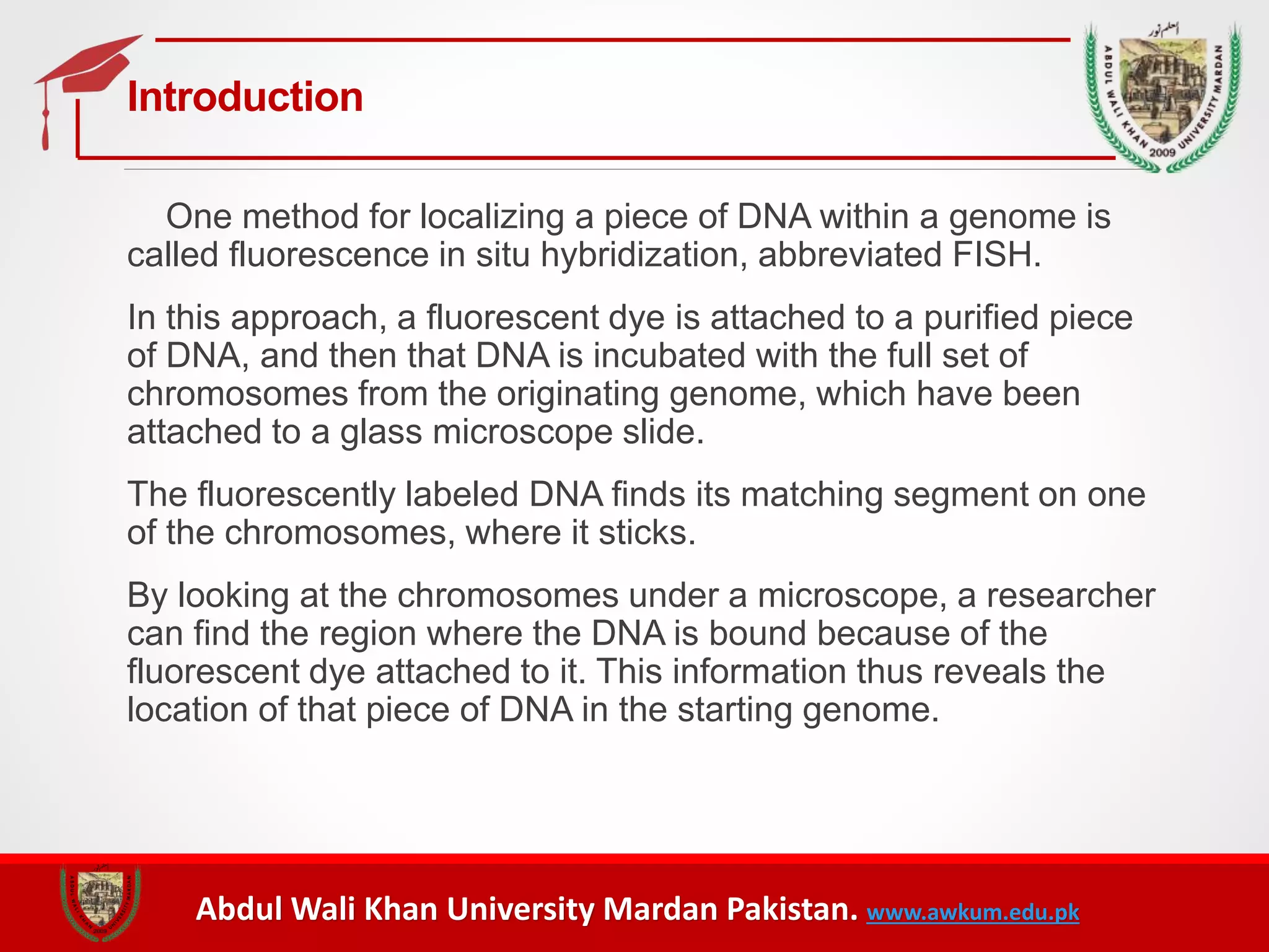 FISH technique.pptx