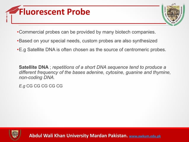FISH technique.pptx | Genetics | Science