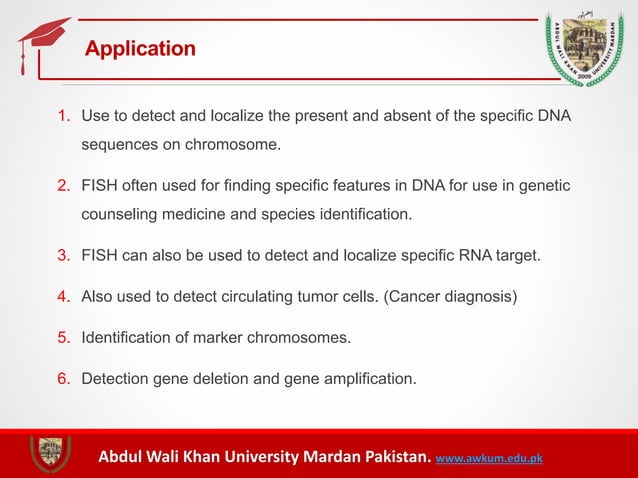 FISH technique.pptx | Genetics | Science