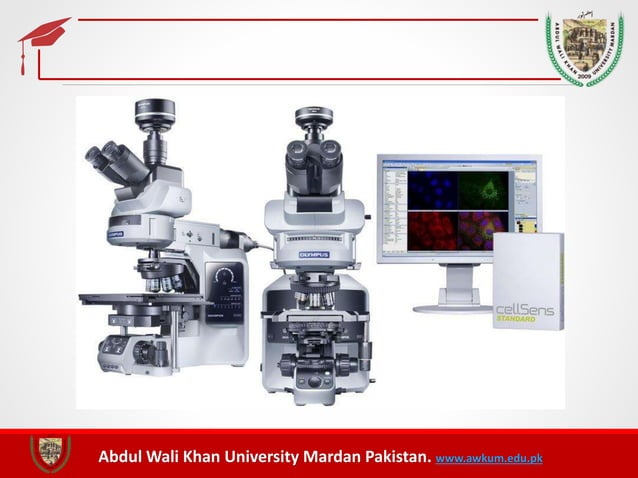 FISH technique.pptx | Genetics | Science